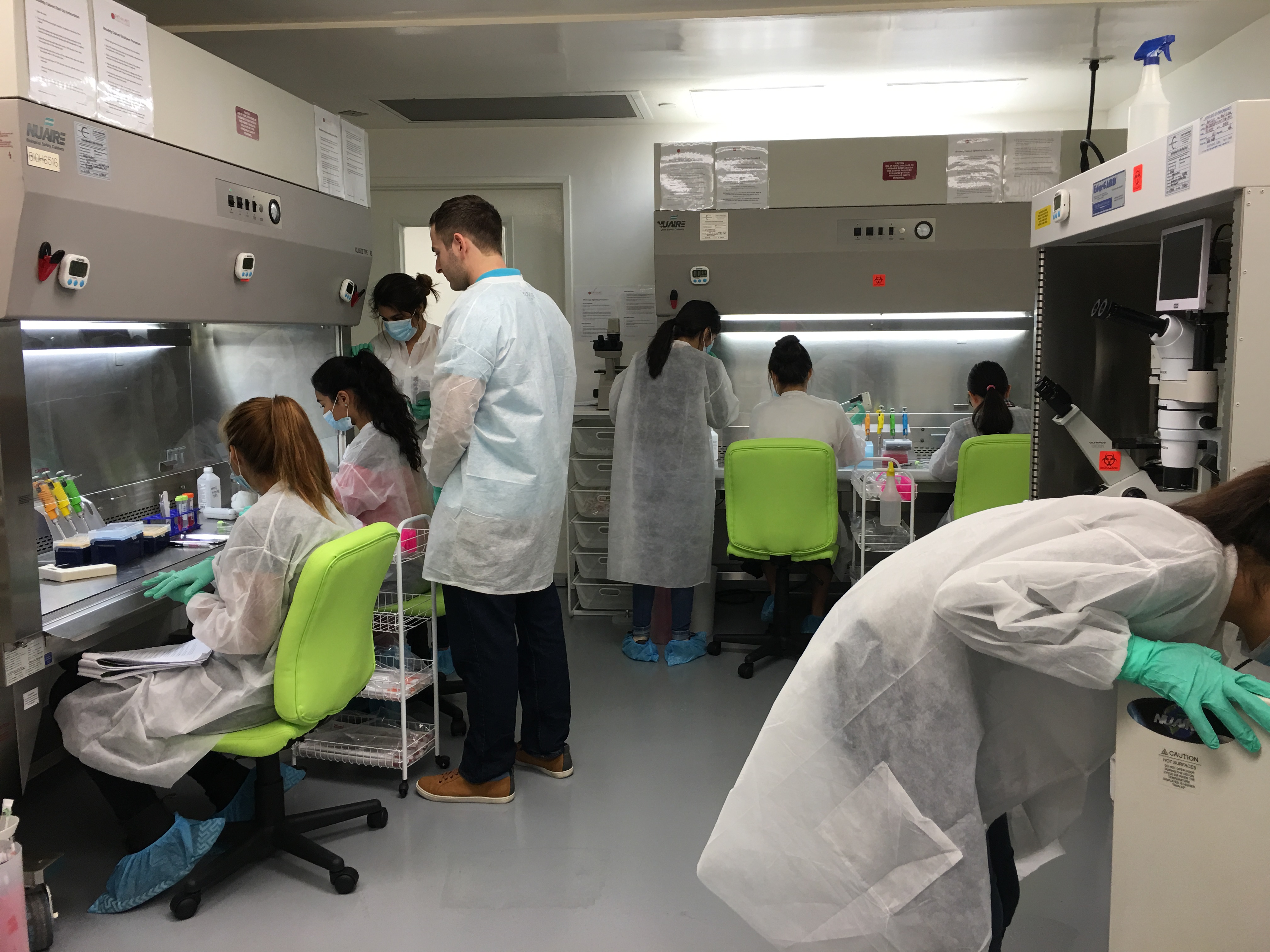 Methods in Stem Cell Engineering - TeenLife