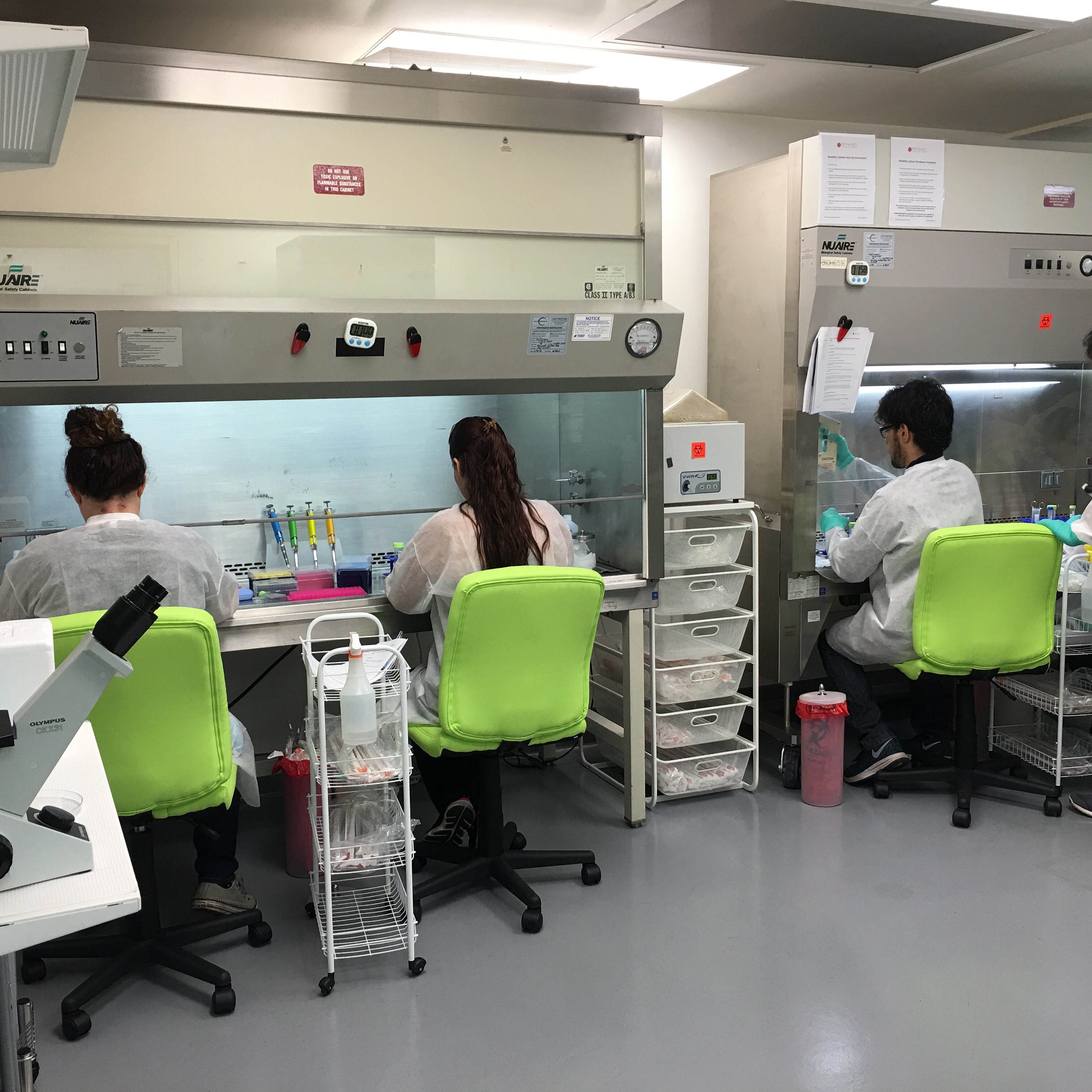 Methods in Stem Cell Engineering - TeenLife