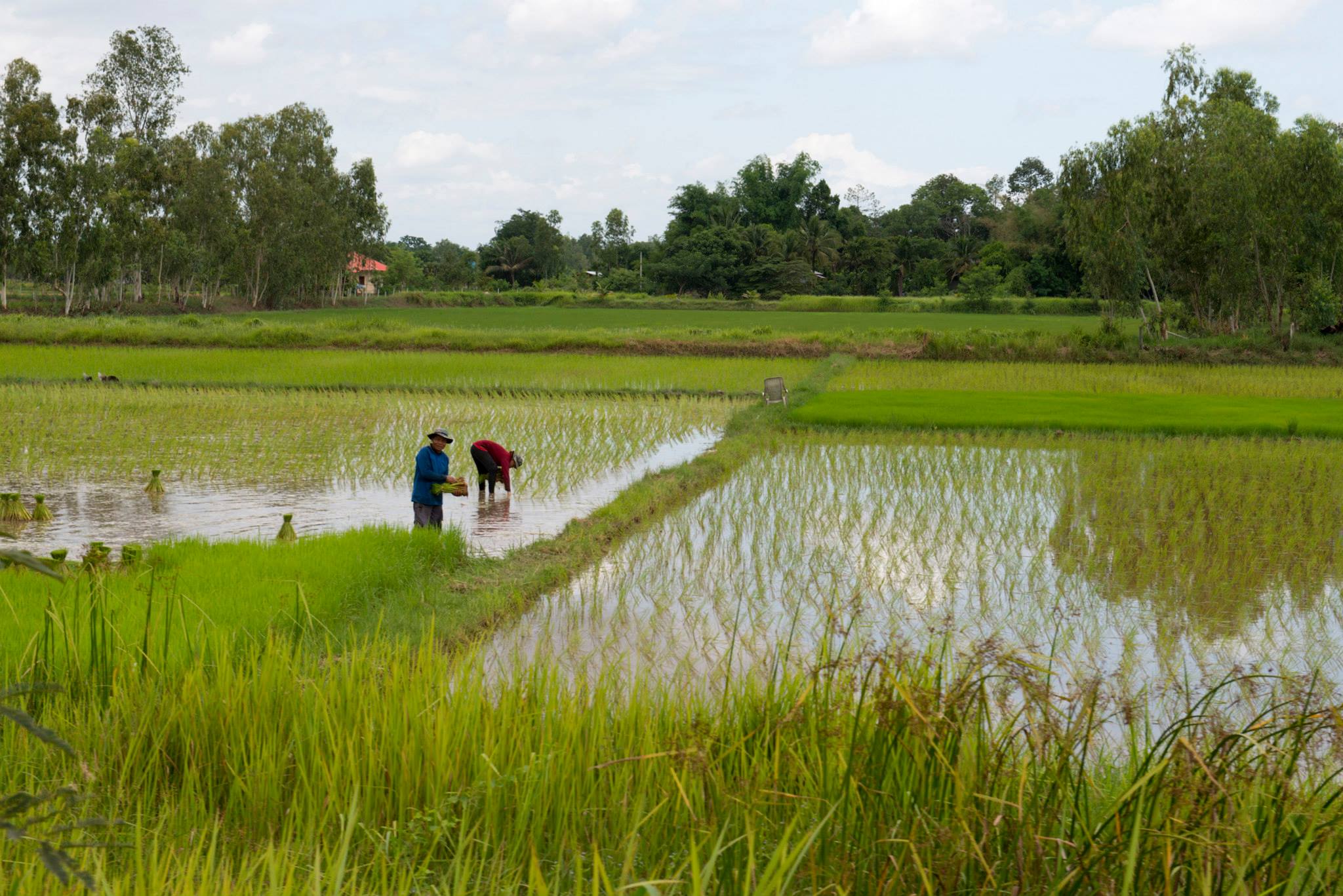Rustic Pathways | Gap Year Programs - TeenLife